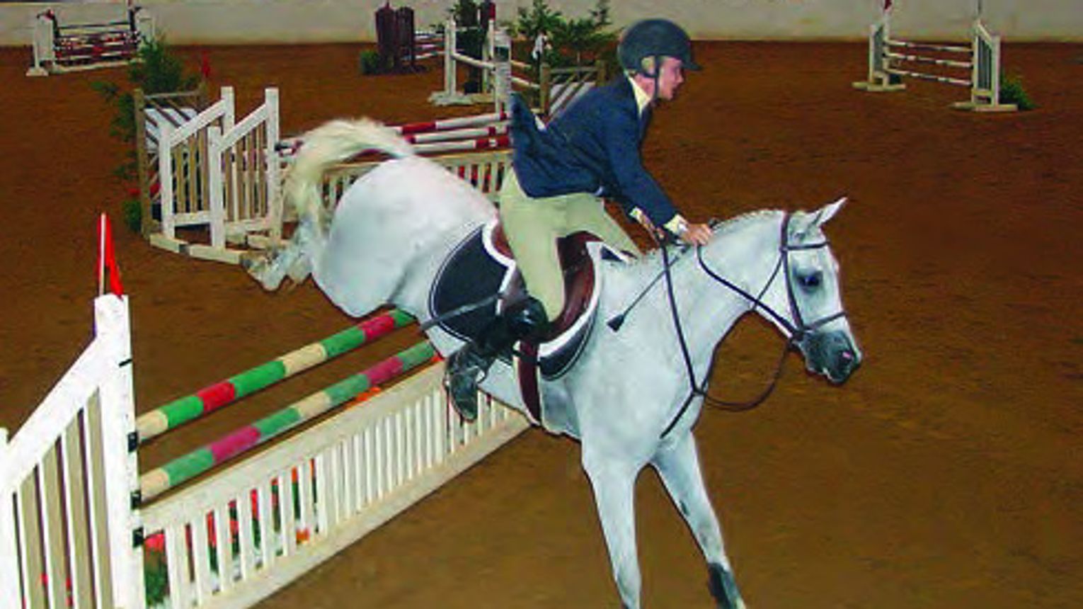 See equestrian sports at the Virginia Horse Center